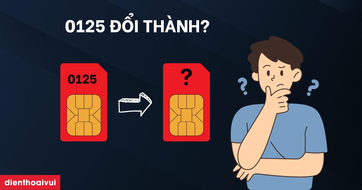 0125 đổi thành gì? Tổng hợp các đầu số mới của VinaPhone