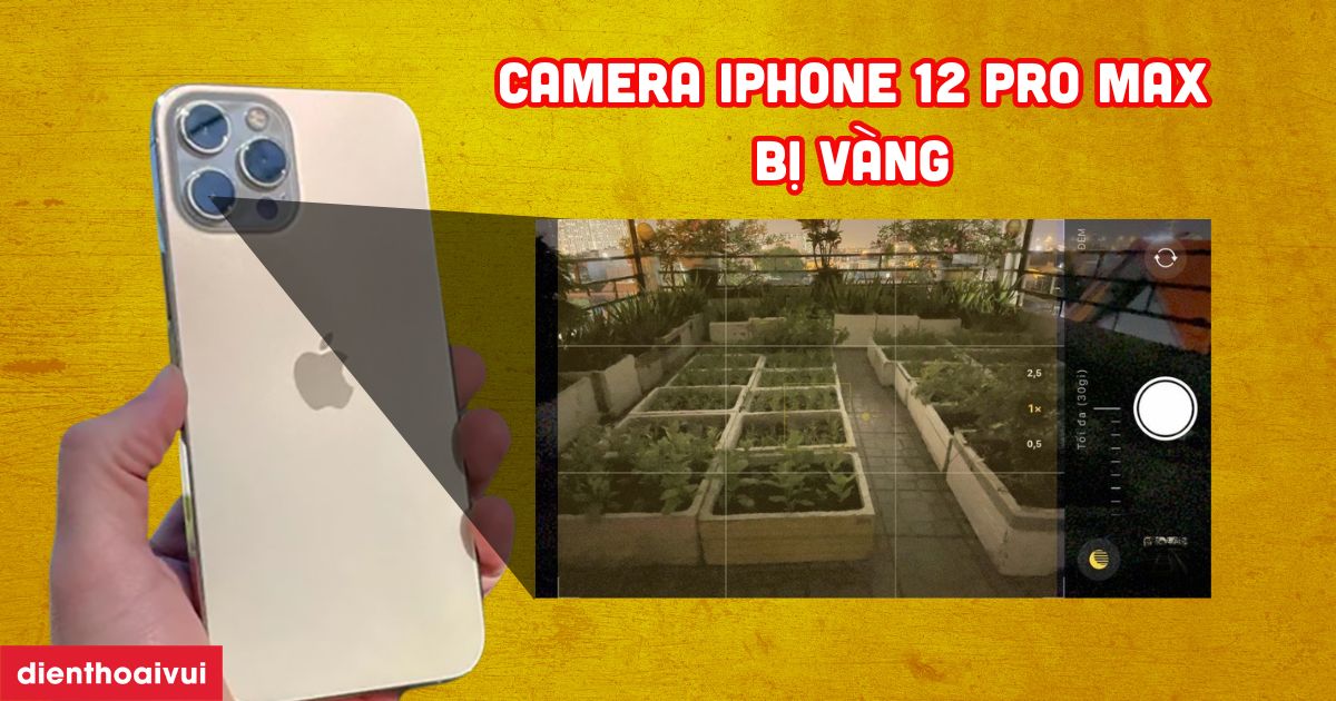 Camera iPhone 12 Pro Max bị vàng: 5 cách khắc phục 2025