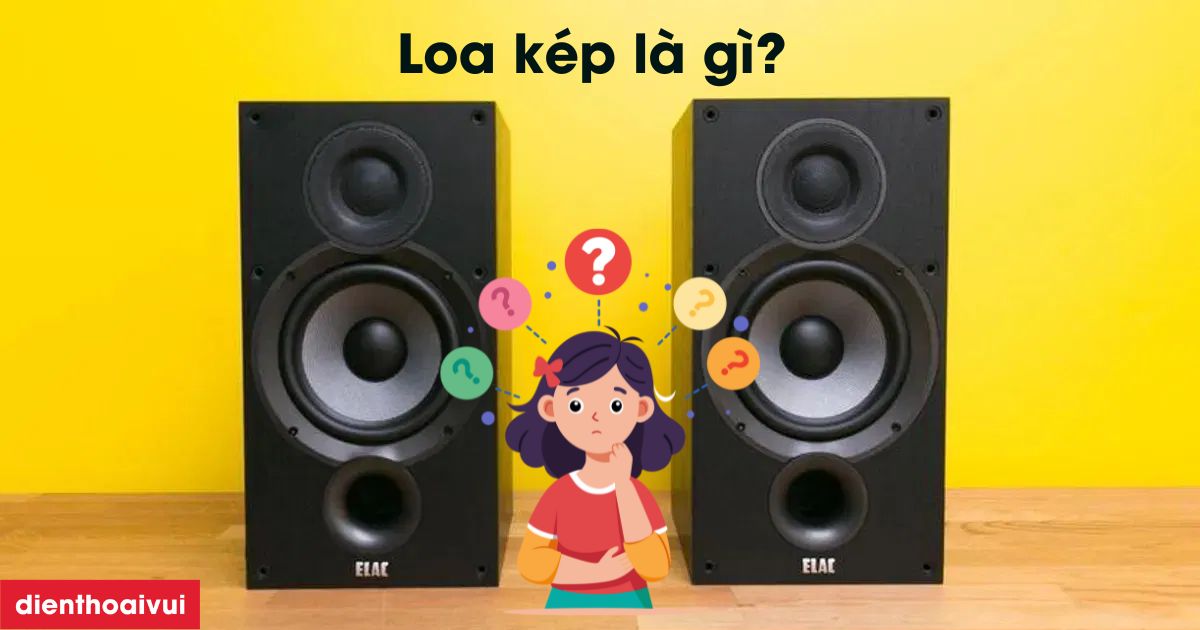 Loa kép là gì? So sánh loa kép và loa đơn